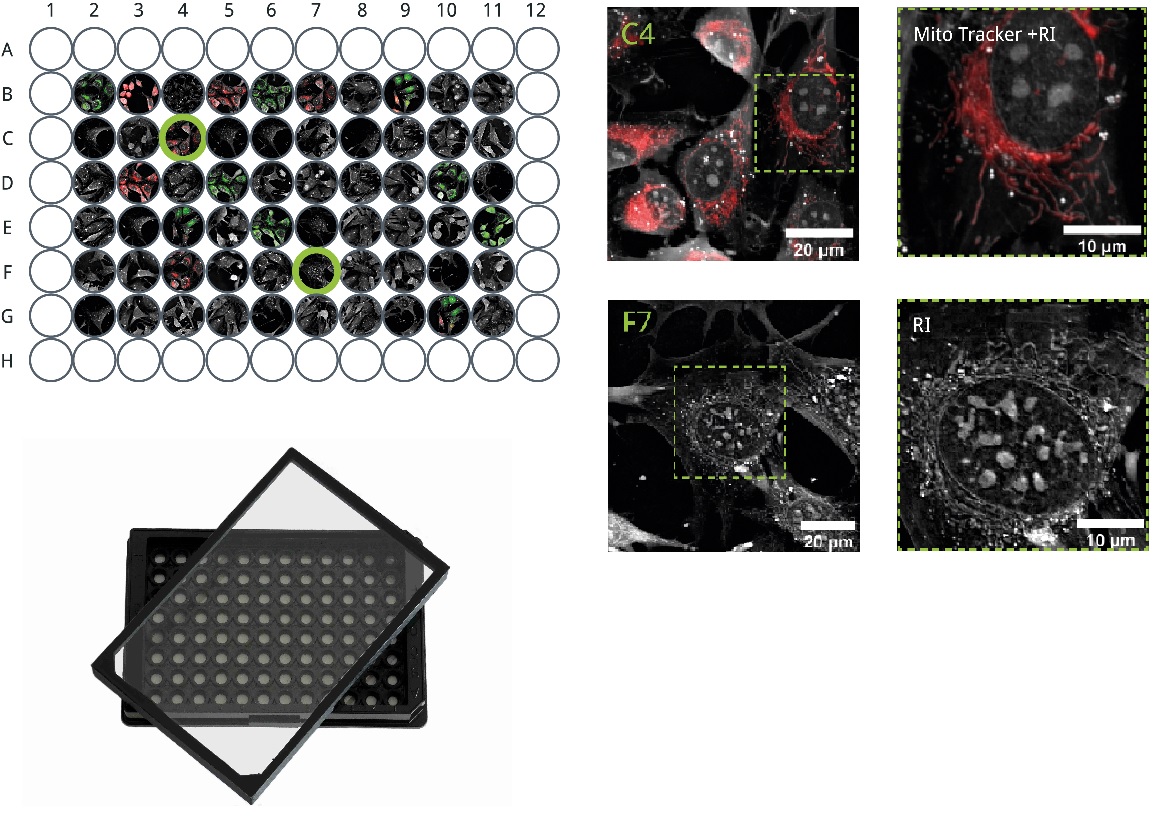 NANOLIVE CX-A – Image Solutions – Imsol