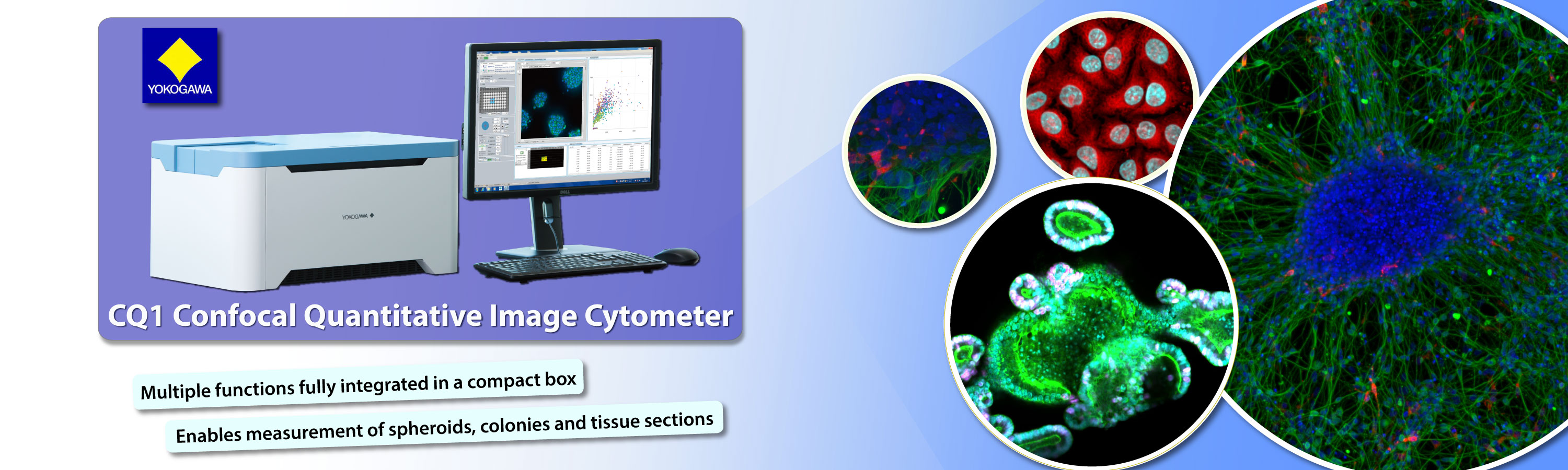 Image Solutions – Imsol